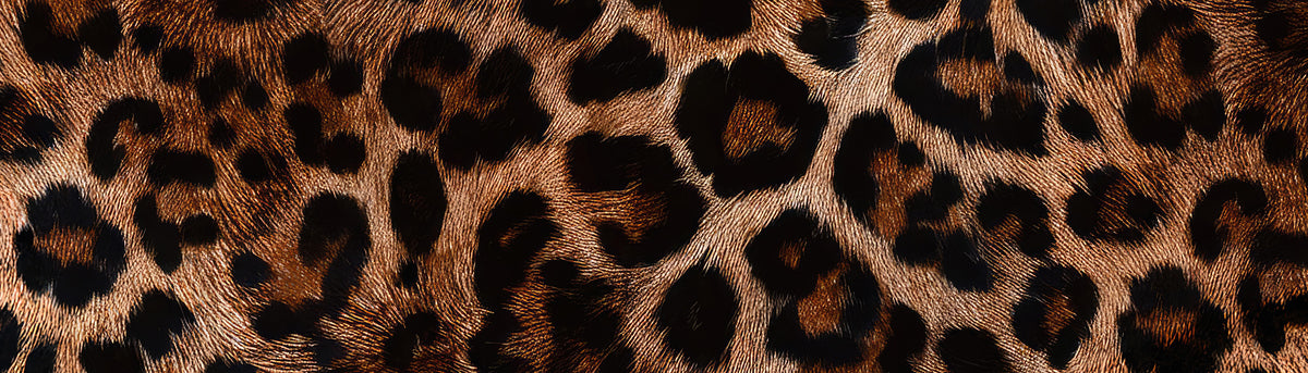 Animalic Notes Perfume Notes Collection | Neverabore.com – NEVERABORE