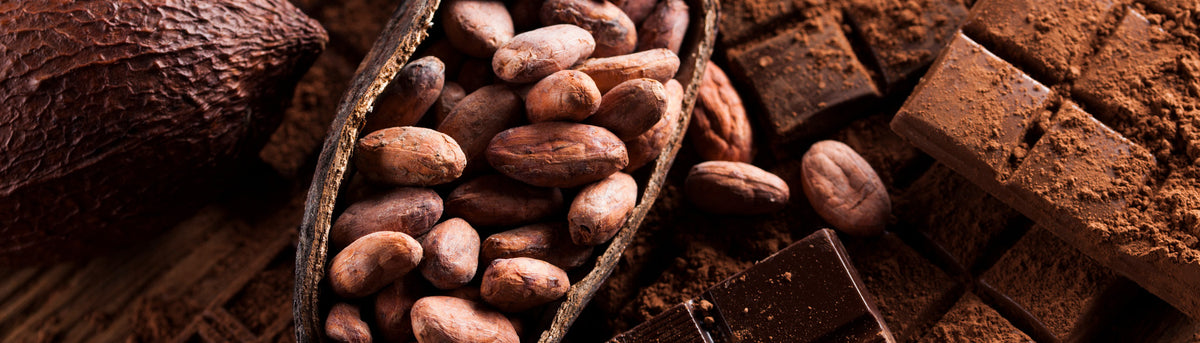 Cacao Perfume Notes Collection | Neverabore.com – NEVERABORE