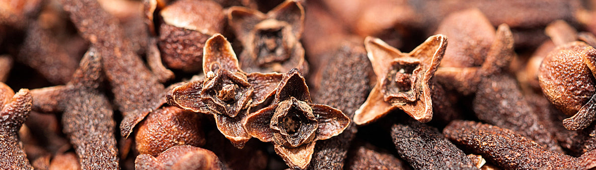 Clove Perfume Notes Collection | Neverabore.com – NEVERABORE